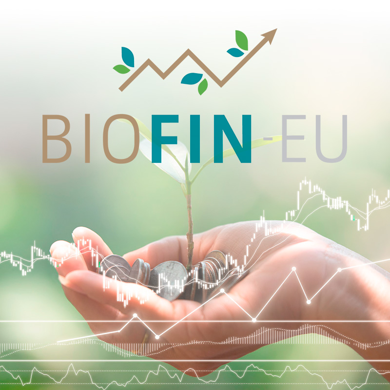 Rainno | The Innovation Rainmakers - BIOFIN-EU